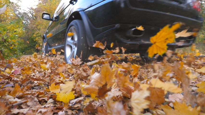 Cars on the Autumn road under leaves image - Free stock photo - Public ...
