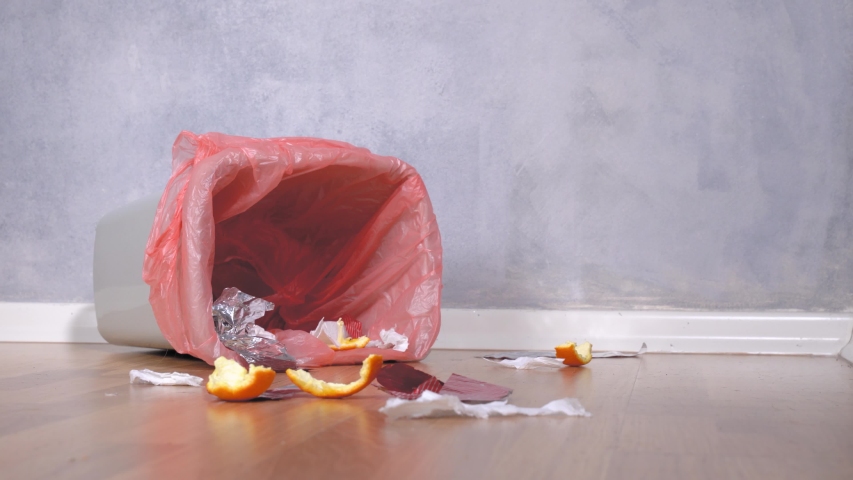 37 Inverted cans Stock Video Footage - 4K and HD Video Clips | Shutterstock