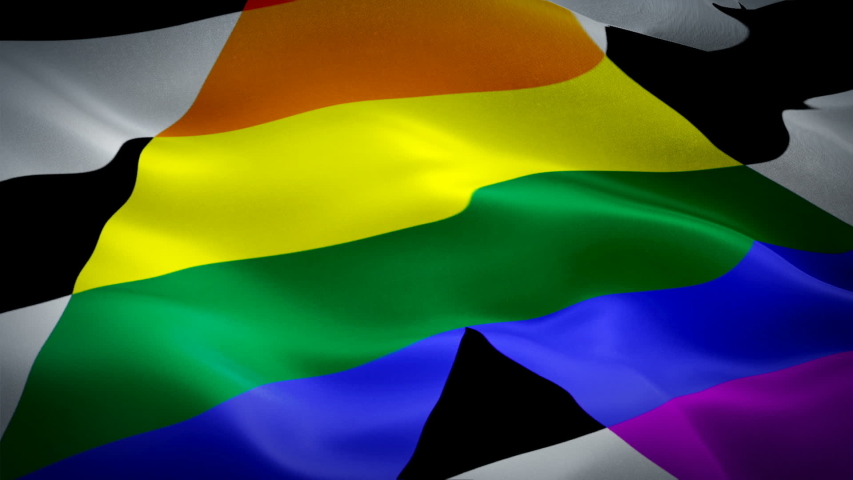 Heterosexual Pride Flag Stock Video Footage - 4K and HD Video Clips ...