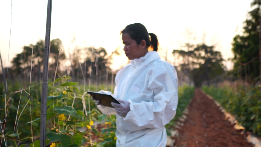 Insect Laboratory Stock Video Footage - 4K and HD Video Clips ...