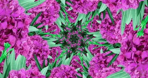 exploding flower petals 4k Stock Footage Video (100% Royalty-free ...