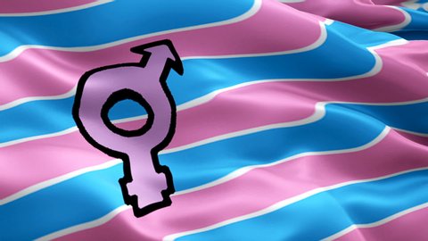 Rainbow Trans Pride Flag Video Waving Stock Footage Video (100% Royalty ...