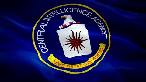 United States Cia Waving Flag National Stock Footage Video (100% ...