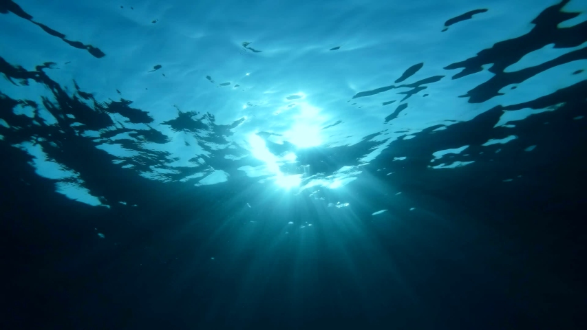 sunlight rays shining through ocean surface Stock Footage Video (100% ...