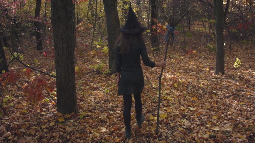 couple people rake fallen leaves large Stock Footage Video (100% ...