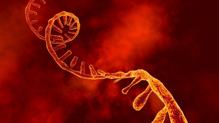 Single-stranded Rna Genome. Coronavirus Sars-cov-2. Stock Footage Video ...