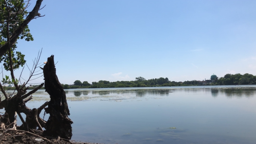 Indlovu River Lodge Stock Video Footage - 4K and HD Video Clips ...