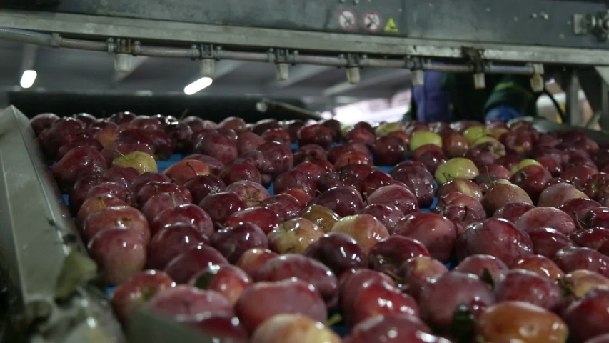 Apples Floating in Water in Stock Footage Video (100% Royalty-free ...