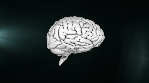 Animation 3d Grey Human Brain Rotating Stock Footage Video (100% ...