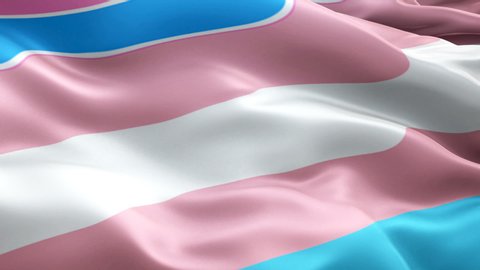 Transgender Flag Waving 3d Trans Pride Stock Footage Video (100% ...