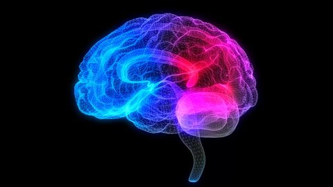 Rotating Human Brain Glowing Blue Light Stock Footage Video (100% ...