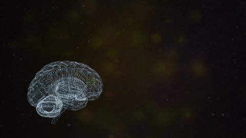 Abstract Human Brain Glittering Particles Floating Stock Footage Video ...
