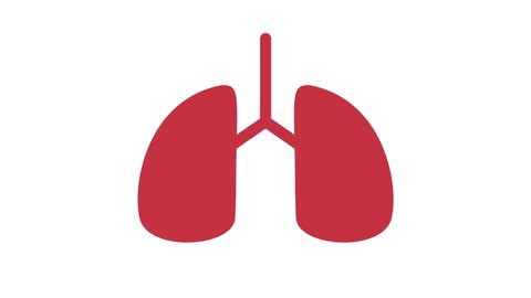 Hemothorax Lung Human Respiratory System Isolated Stock Vector (Royalty ...