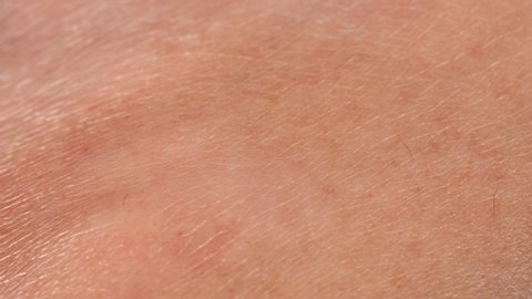 Human Skin Tracking Macro Leg Skin Stock Footage Video (100% Royalty ...
