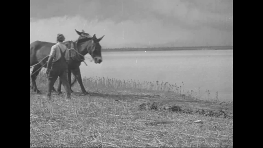 Primitive farming Stock Video Footage - 4K and HD Video Clips ...