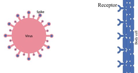 Illustration How Viruses Enter Our Body Stock Footage Video (100% ...