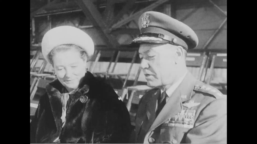 Jacob smart Stock Video Footage - 4K and HD Video Clips | Shutterstock