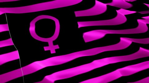 Femme Pride Flag Video Waving Wind Stock Footage Video (100% Royalty ...