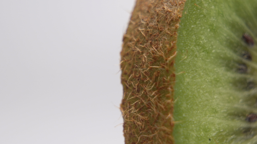 Kiwi Cross Section image - Free stock photo - Public Domain photo - CC0 ...