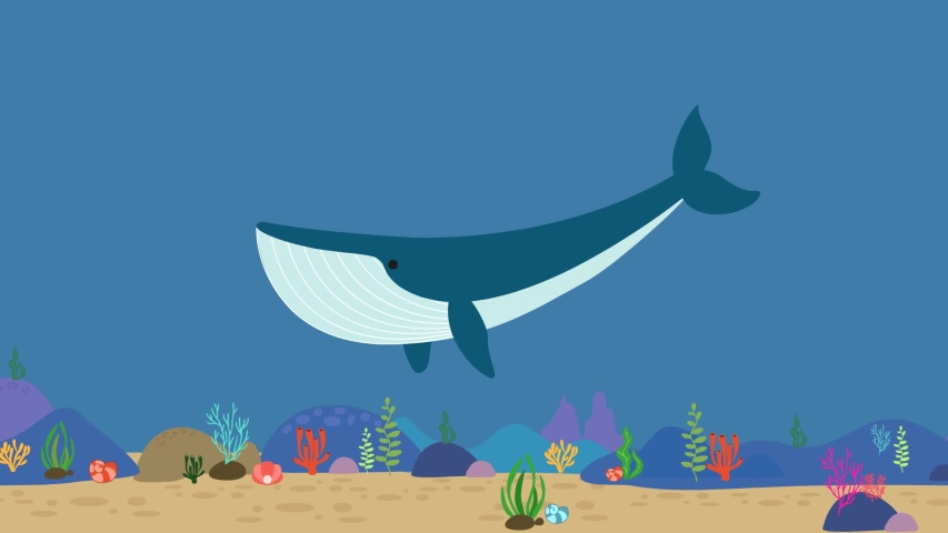 Cartoon Whale Flat Animation Video 스톡 동영상 비디오(100% 로열티 프리) 1048748626 ...