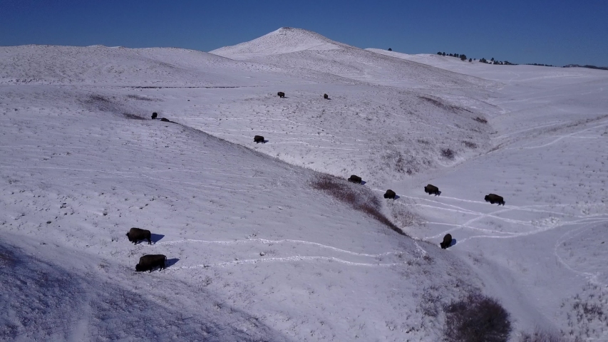 Grassland landscape on the great plains image - Free stock photo ...