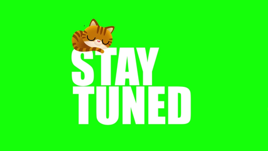 Looping Animation of Cute Cat Stock Footage Video (100% Royalty-free ...