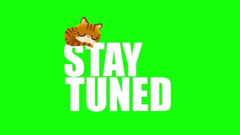 Looping Animation Cute Cat Cartoon Characters Stock Footage Video (100% ...