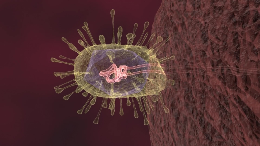 Phage Therapy Stock Video Footage - 4K and HD Video Clips | Shutterstock