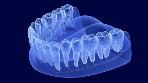 Teeth Root Anatomy Xray View Medically Stock Footage Video (100% ...