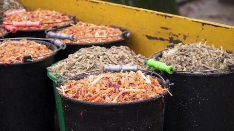 Food Buckets Feeding Animals Zoo Buckets Stock Footage Video (100% ...