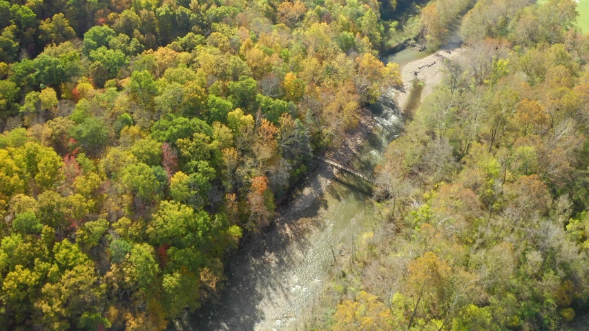 Overlook with Autumn trees and leaves image - Free stock photo - Public ...