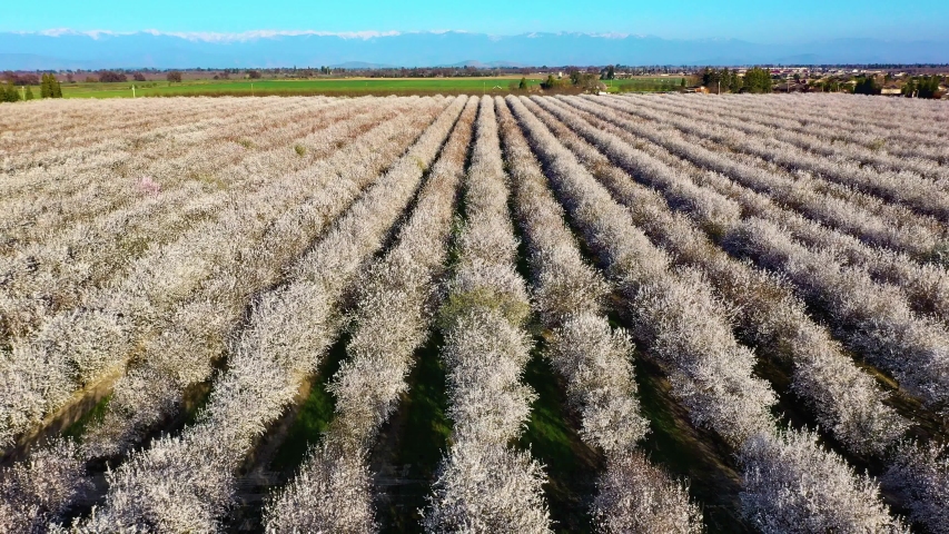 Flying Low Over One of Stock Footage Video (100% Royalty-free ...
