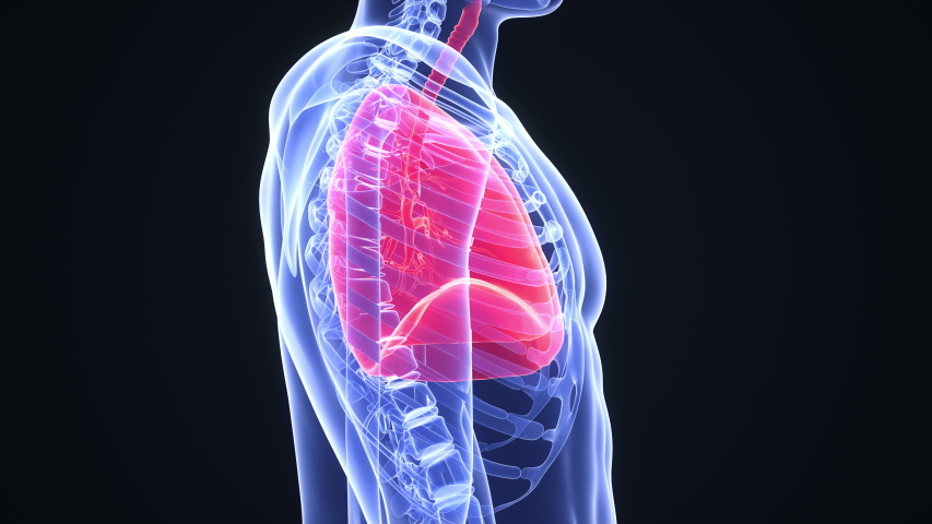 Sick Man Breathing Rapidly. Lungs Stock Footage Video (100% Royalty ...