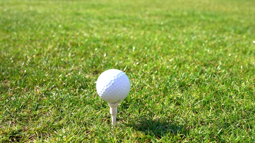Hands placing golf balls image - Free stock photo - Public Domain photo ...