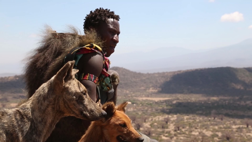 Woodlands tribe animals Stock Video Footage - 4K and HD Video Clips ...