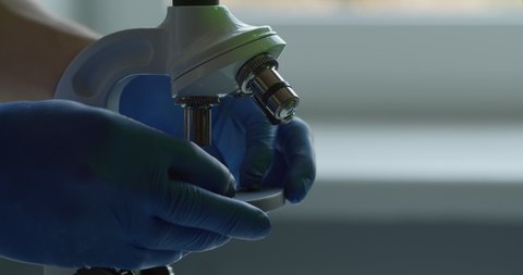 Closeup Shooting Lab Worker Inserting Microscope Stock Footage Video ...