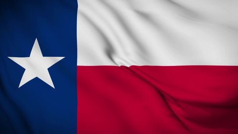 Texas Flag Waving 3d Animation Texas Stock Footage Video (100% Royalty ...