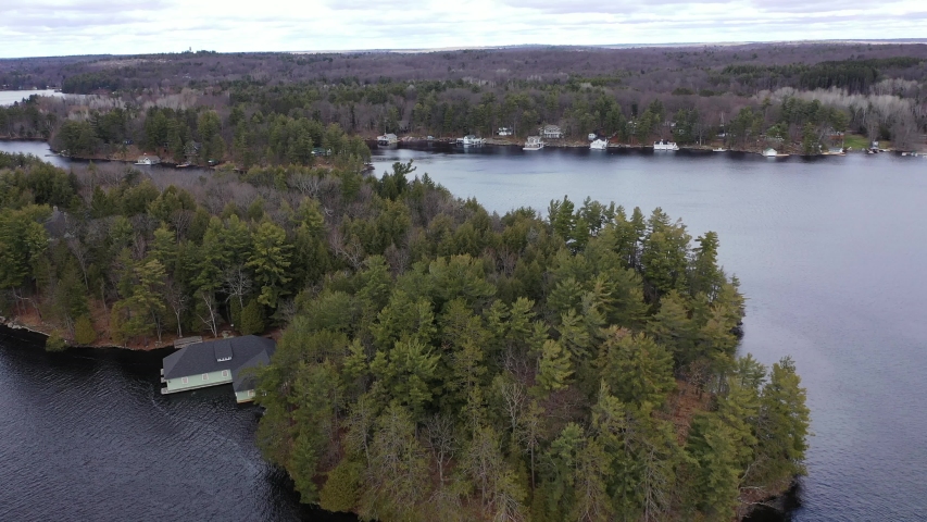 Muskoka Trees Stock Video Footage - 4K and HD Video Clips | Shutterstock