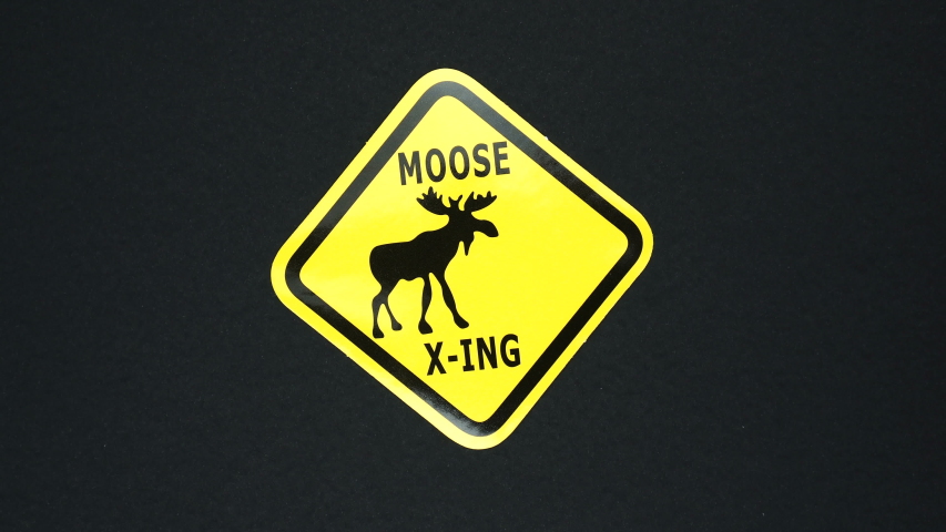 Moose warning sign Stock Video Footage - 4K and HD Video Clips ...