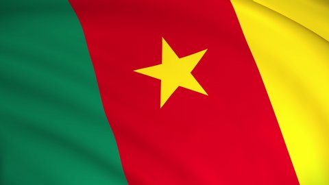 Cameroon National Flag 4k Seamless Loop Stock Footage Video (100% ...