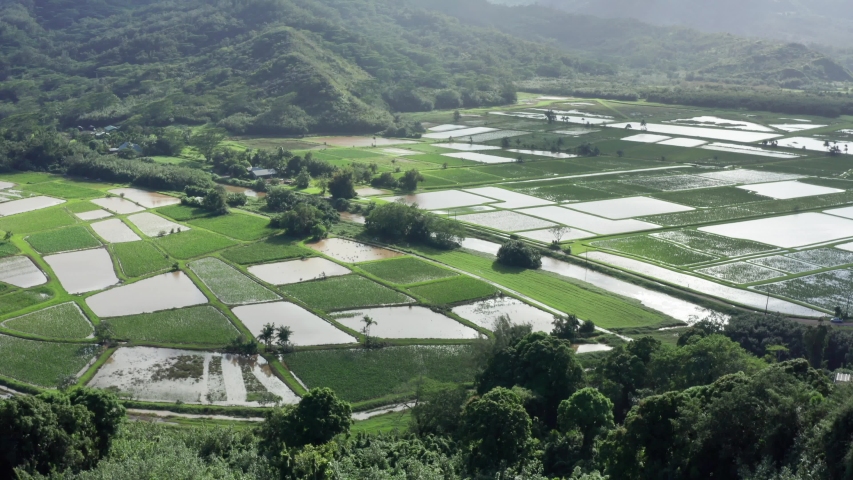 Countryside Landscape in Hawaii image - Free stock photo - Public ...