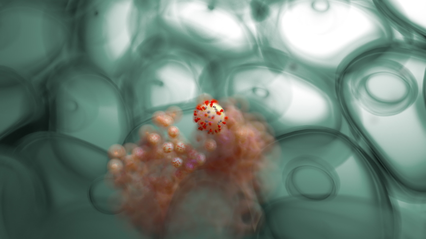 3d Animation of Cell Death Stock Footage Video (100% Royalty-free ...