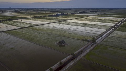 Rice Field Aerial View Abandoned Floating Stock Footage Video (100% ...