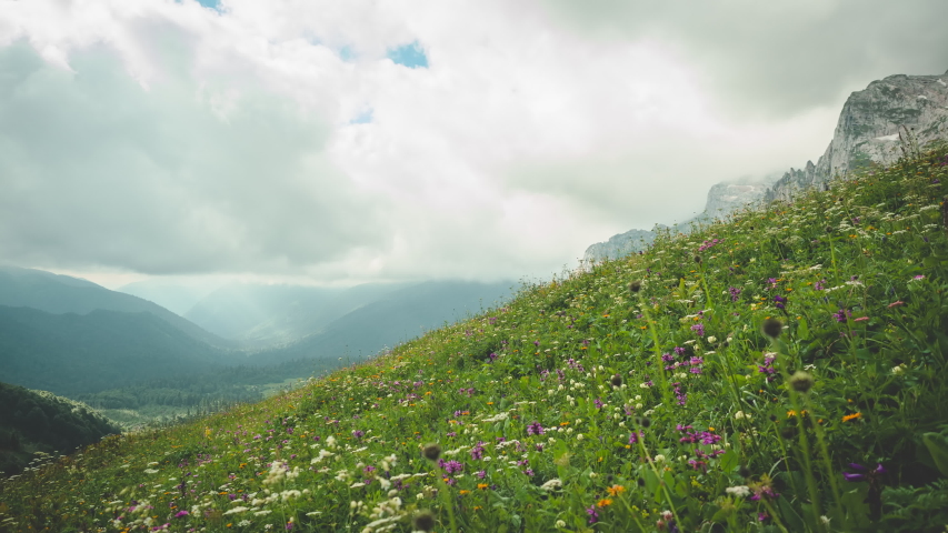Mountainside landscape with flowers image - Free stock photo - Public ...