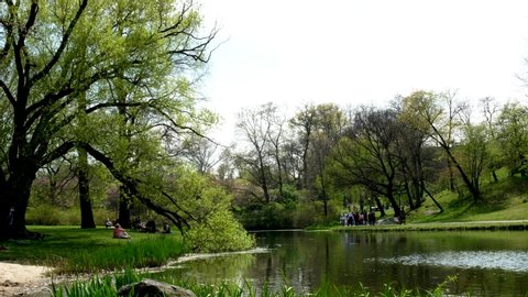 People Sit Below Hanging Tree Lake Stock Footage Video (100% Royalty ...
