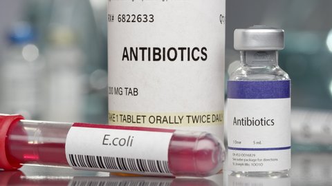 Ecoli Antibiotics Antibodies Medial Lab Syringe Stock Photo 1713213106 ...