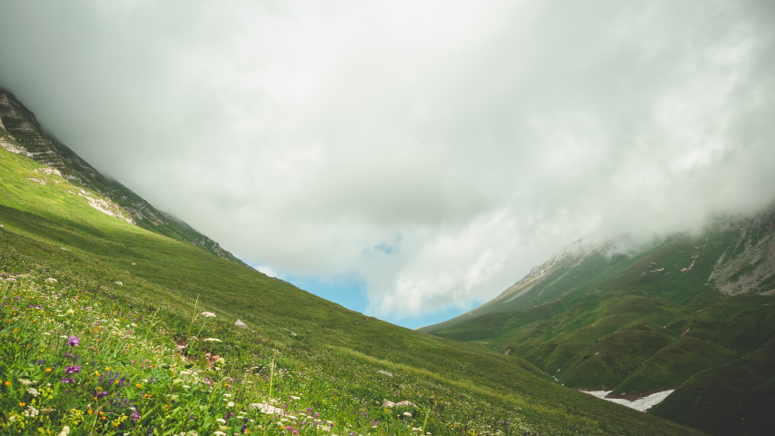 Mountainside landscape with flowers image - Free stock photo - Public ...