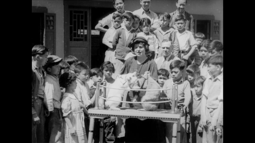 circa 1934 - woman referees boxing Stock Footage Video (100% Royalty ...