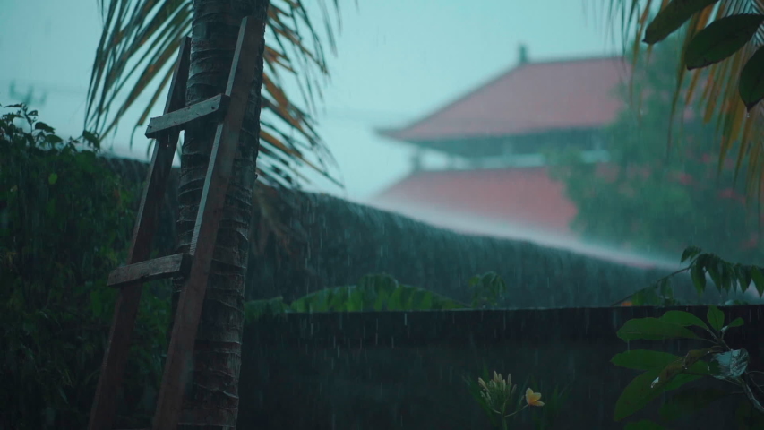 Slow Motion of Tropical Asian Stock Footage Video (100% Royalty-free ...