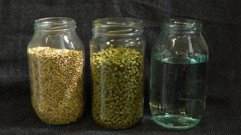 Malt Hops Water Everything Brewing Beer Stock Footage Video (100% ...